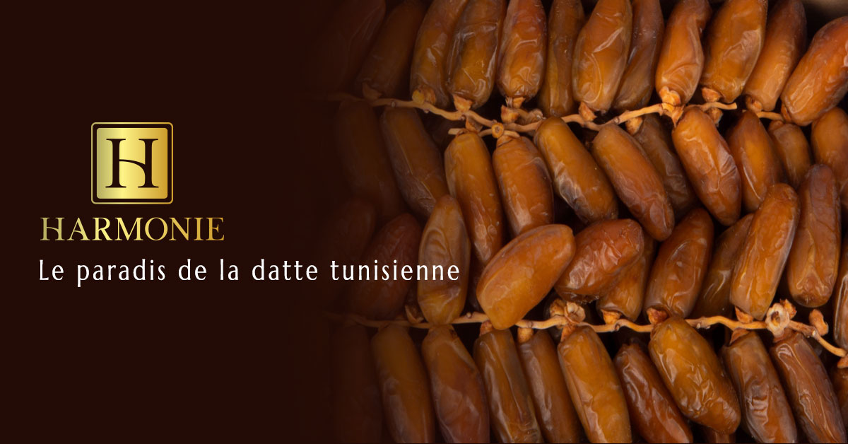 HARMONIE | Délicieuses Dattes et Coffrets Cadeaux | Deglet Nour ...